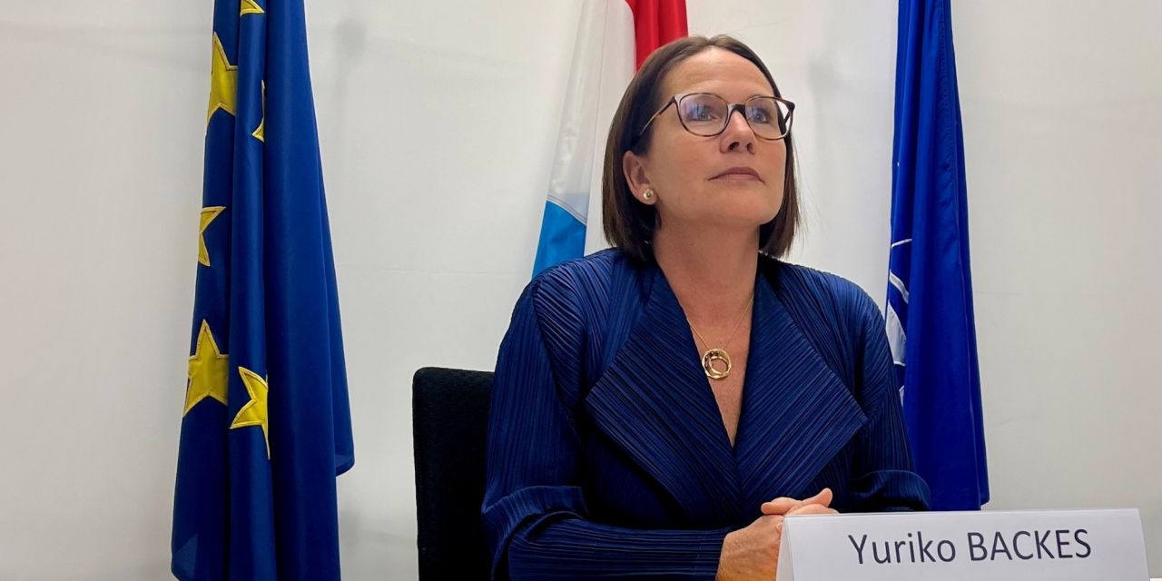 Yuriko Backes took part in the virtual meeting of the NATO-Ukraine ...